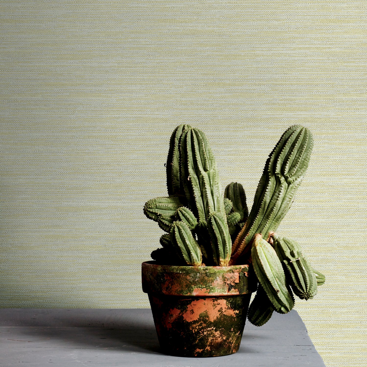 Holland – Sedgwick & Brattle