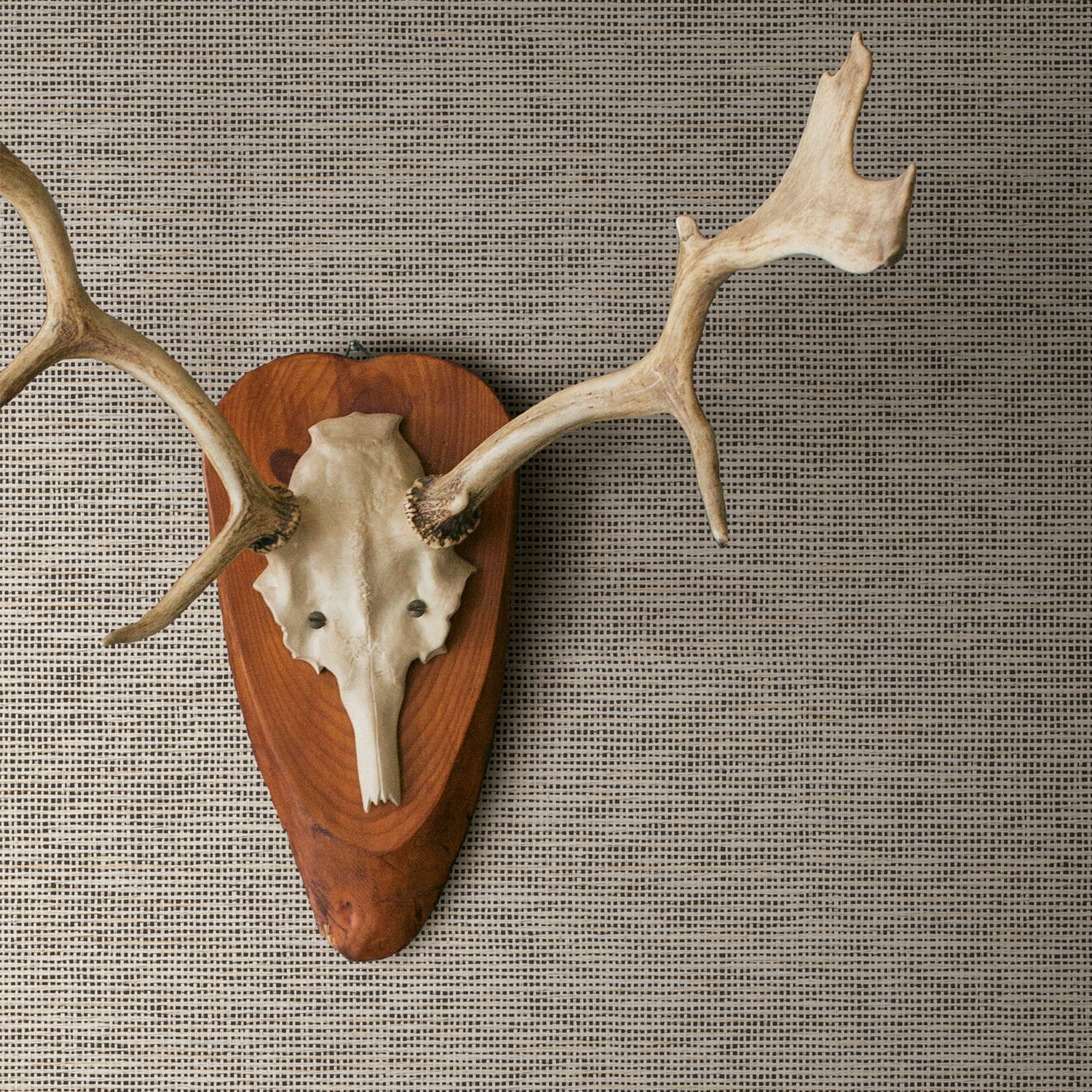 Madagascar – Sedgwick & Brattle