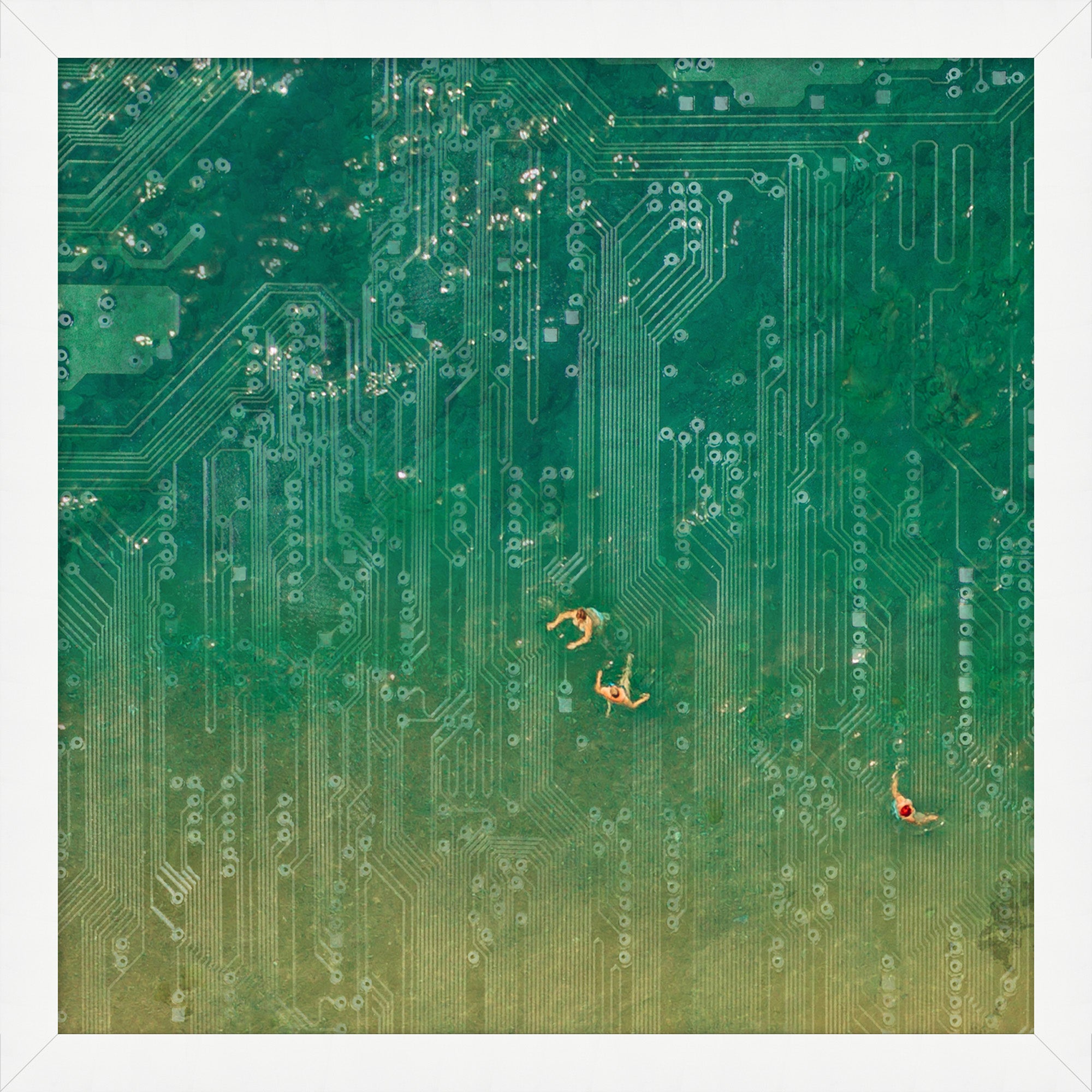 Swim Circuit 1 – Sedgwick & Brattle